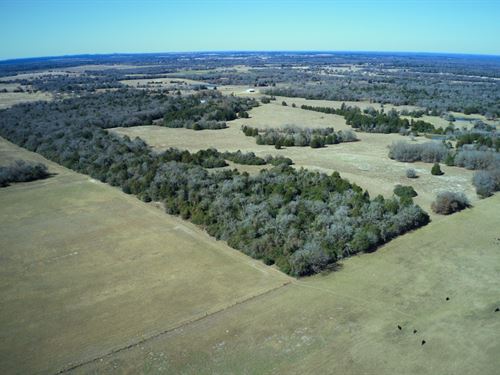 Texas Hunting Land for Sale