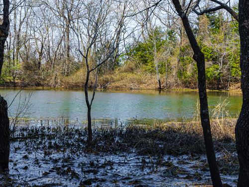 Bailey Springer : Classic Country Land Land for Sale