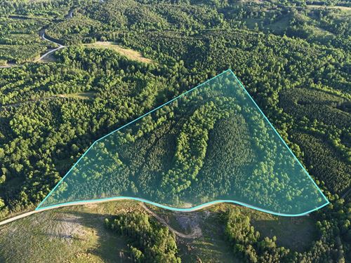Tennessee Land for Sale Over 5 Acres