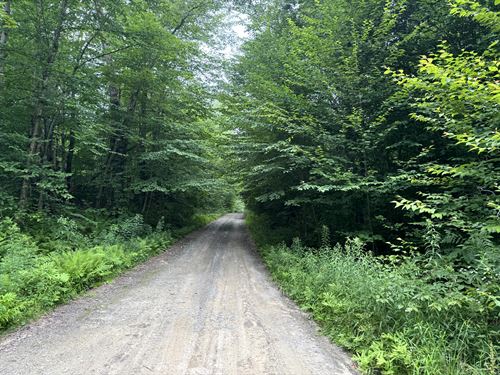 Dan Christmas : Christmas & Associates Land for Sale