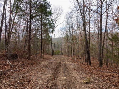 Bailey Springer : Classic Country Land Land for Sale