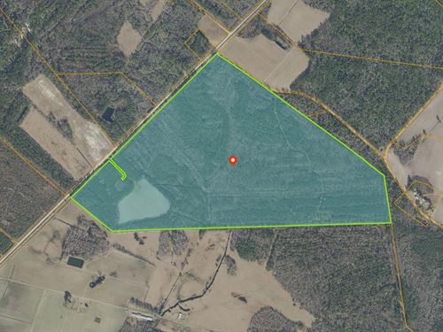 Horry County South Carolina Land for Sale : LANDFLIP