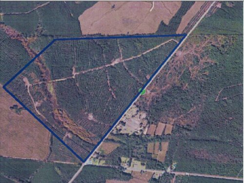 Horry County South Carolina Land for Sale - landflip